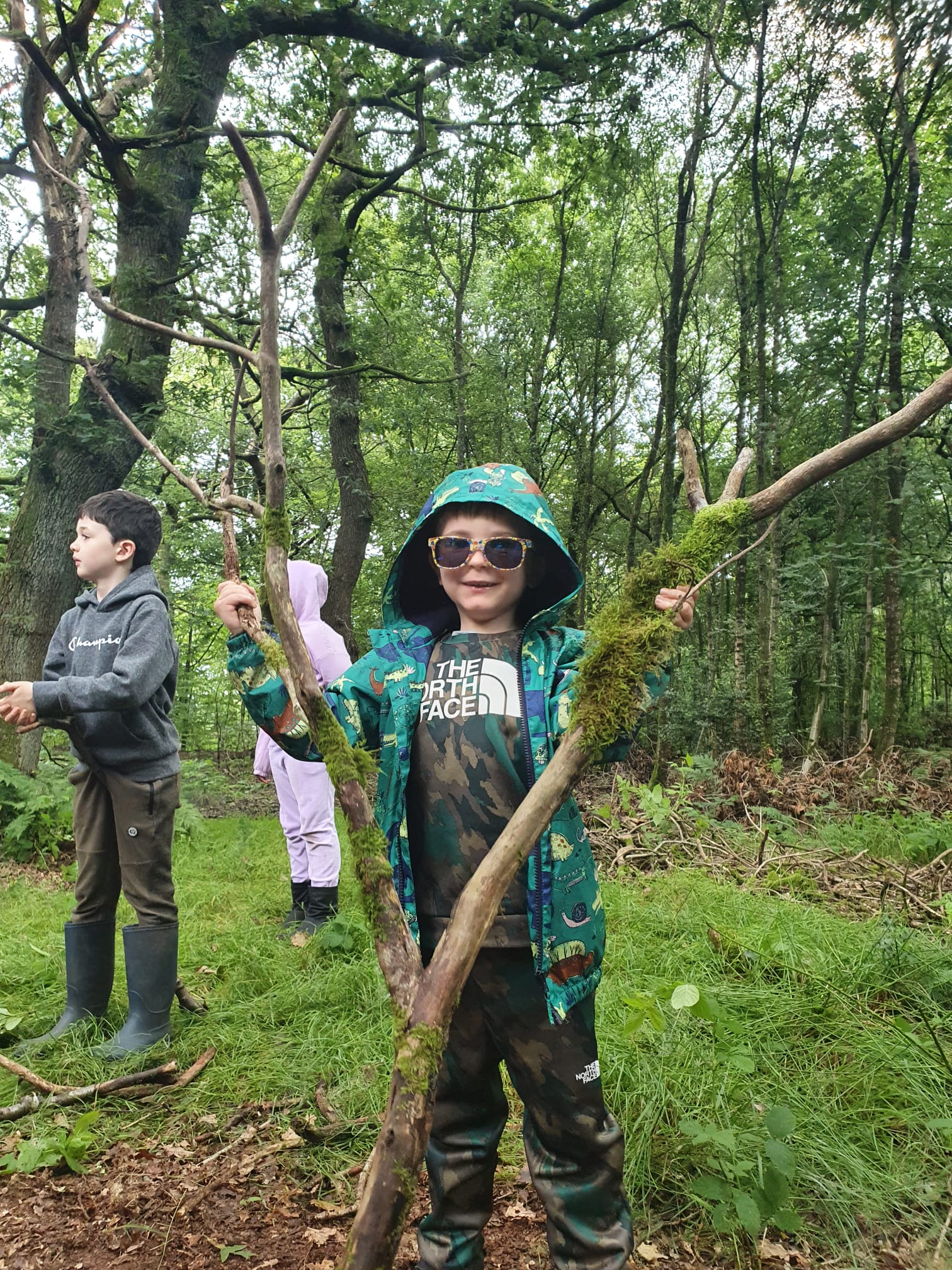 The Importance of Free Play in a Woodland Environment - Forest Frontiers