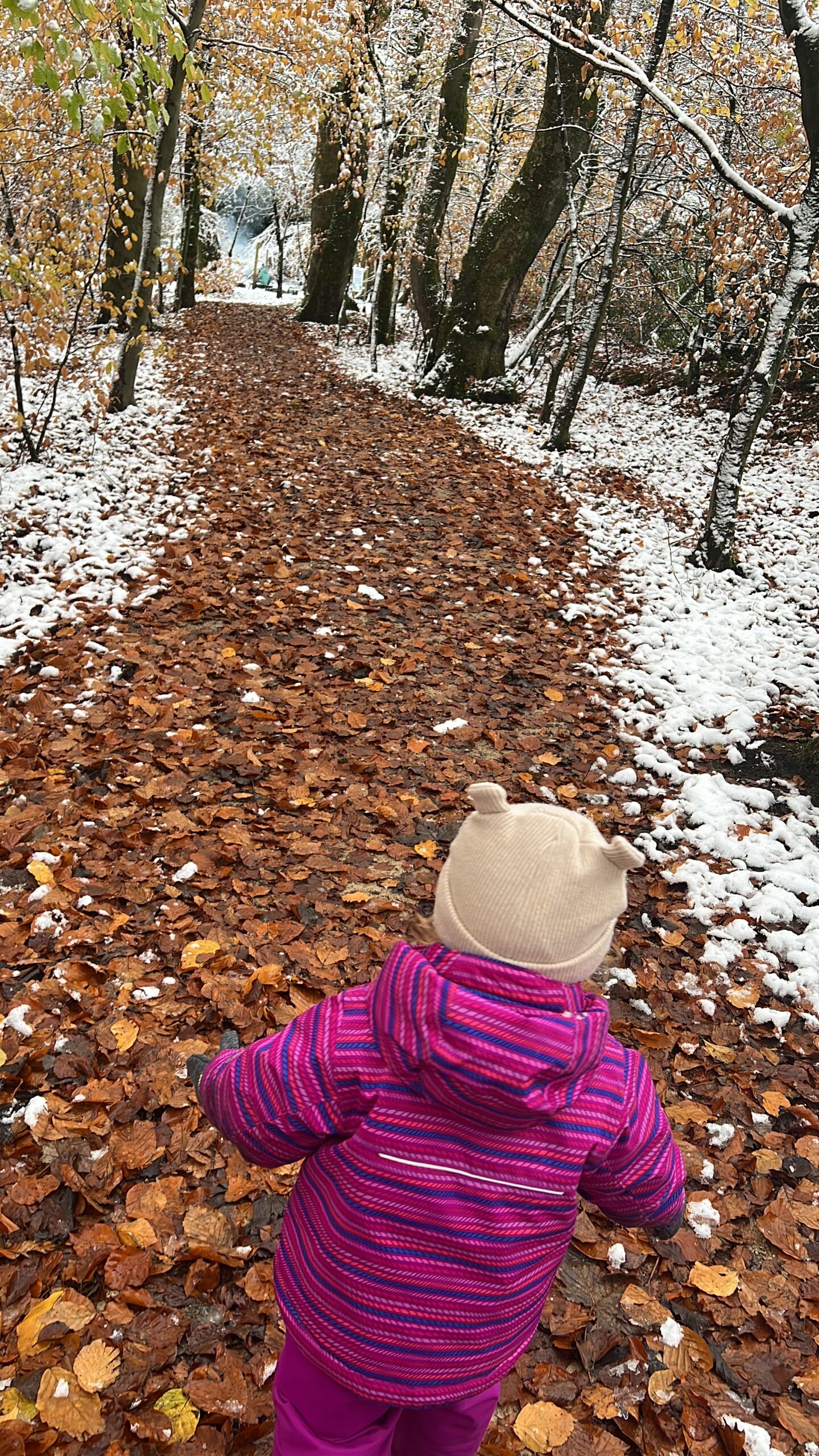 Fun Winter Activities for Family Forest Walks 🌲 ️ - Forest Frontiers